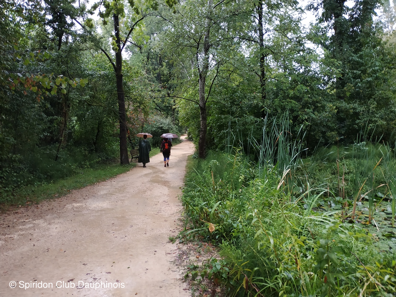 marche sur les hauteurs de Meylan